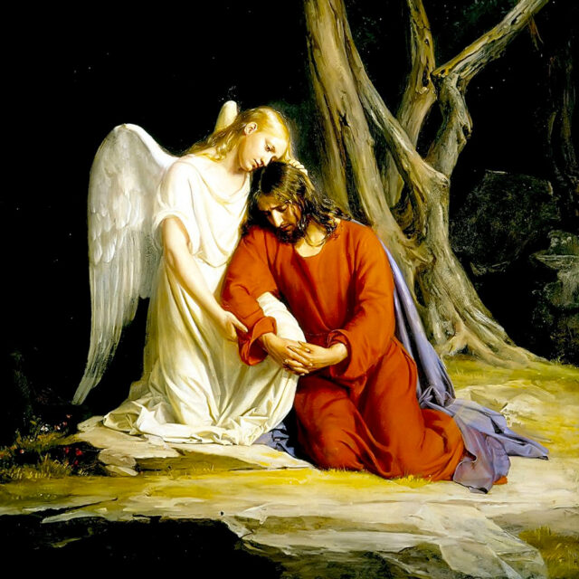 Jesús ora en Getsemaní - Milagros de Luz